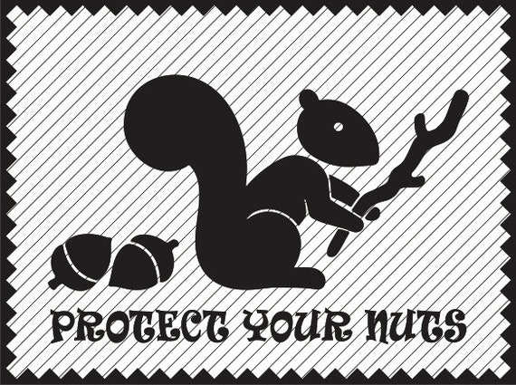 Protect Your Nuts Squirrel Svg File Squirrel Clipart Etsy