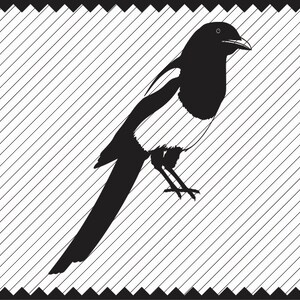 SVG Magpie Clipart Cricut Magpie Drawing for Laser Cutting and ...