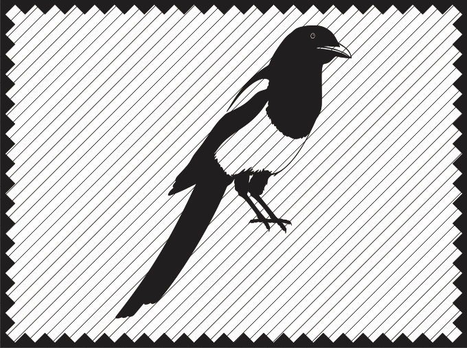 SVG Magpie Clipart Cricut Magpie Drawing for Laser Cutting and | Etsy