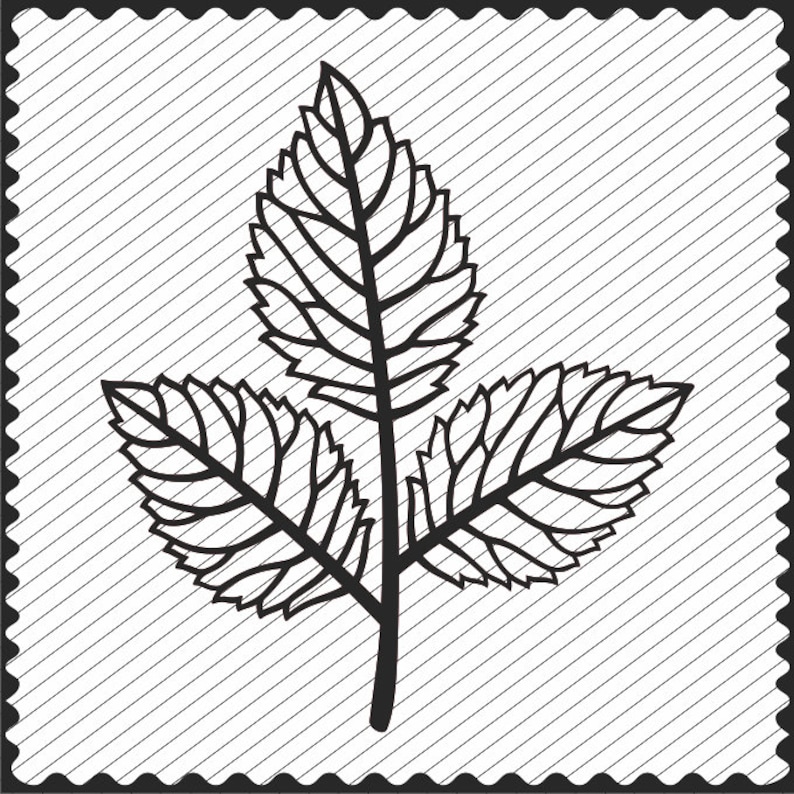 Rose Leaves Template Design Clipart Cricut File Cameo File Etsy