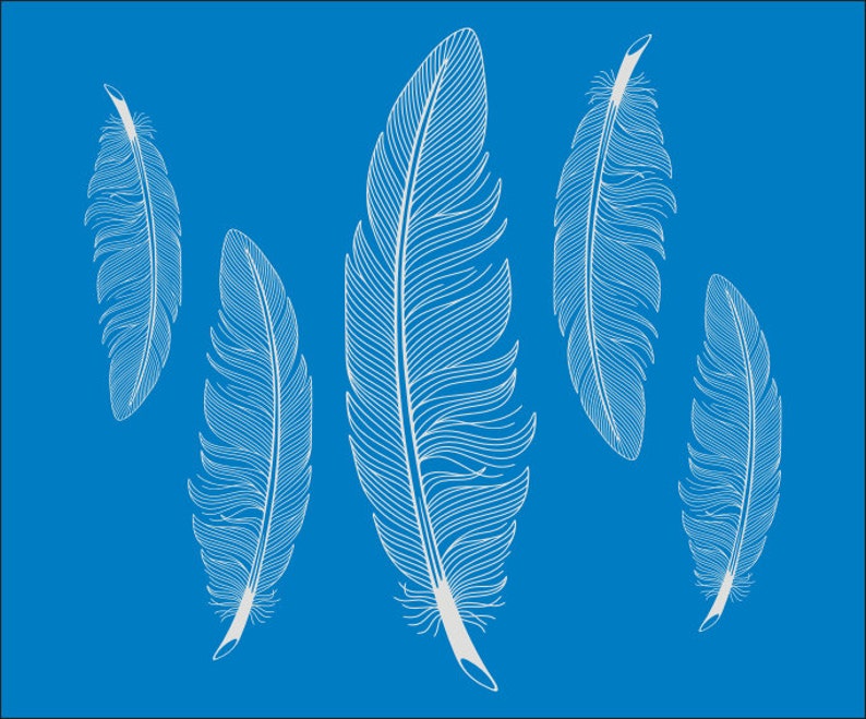 Feather High Quality Printable Clipart Iron on Transfer - Etsy Canada