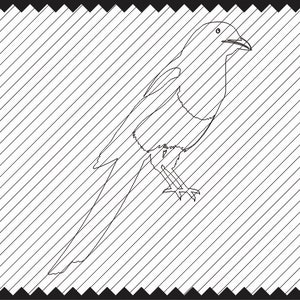 SVG Magpie Clipart Cricut Magpie Drawing for Laser Cutting and | Etsy ...