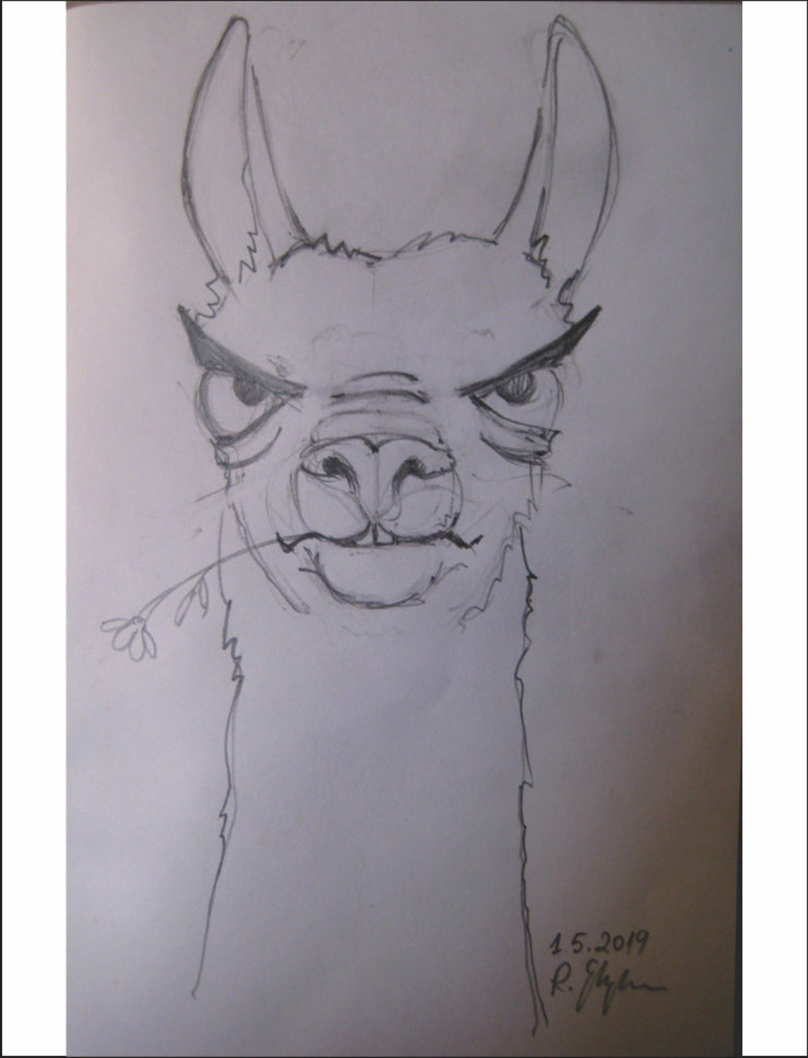 Artistic Cute Angry Llama SVG. Llama Clipart for Iron on Transfer Lama ...