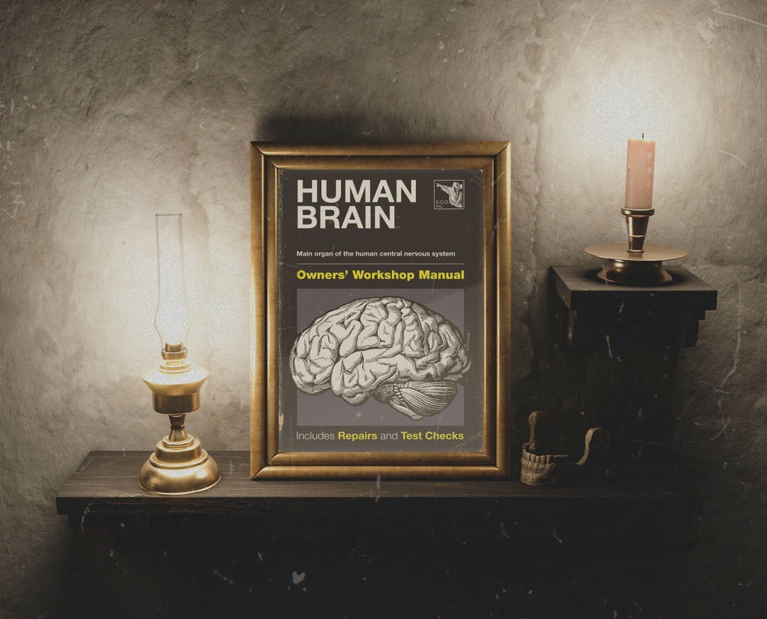 Human Brain Haynes Style Vintage Owners Workshop Manual A4 A3 A2 Art ...