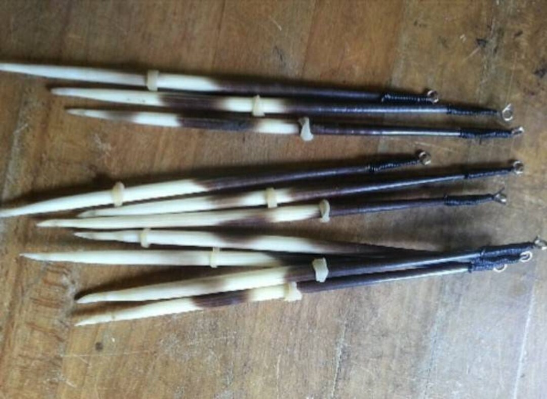 Real Porcupine Quill Fishing Floats, 5 Floats, All Natural Color ...