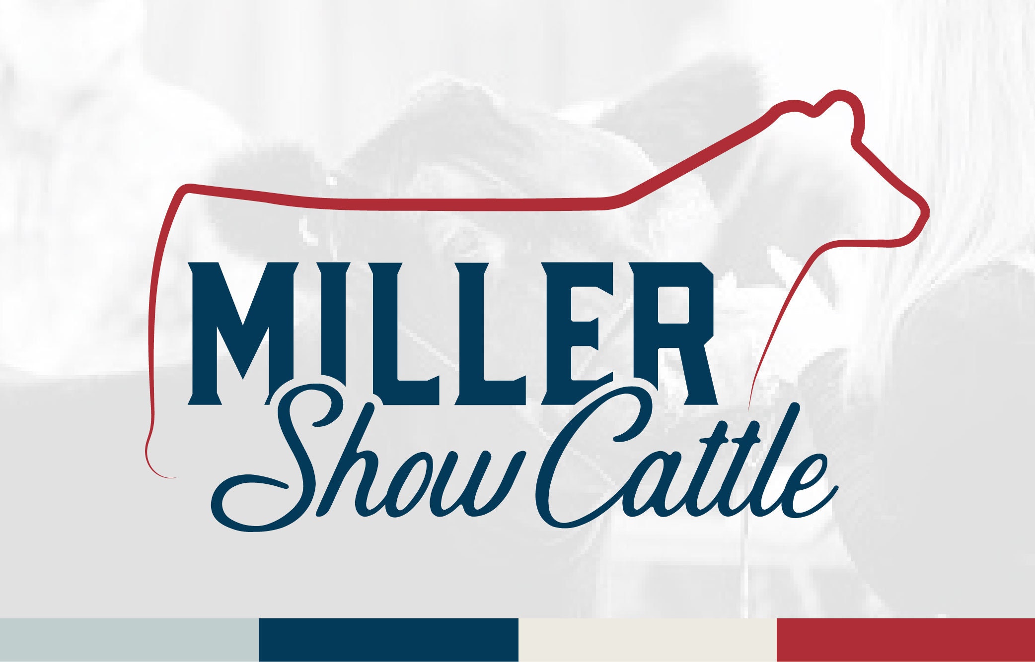 Farm Logo, Show Cattle Logo, Livestock Logo, Custom Logo Design, Farm ...
