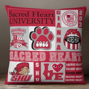 Custom COLLEGE Pillow With Insert Decorative Throw Pillow Dorm Room Bed ...