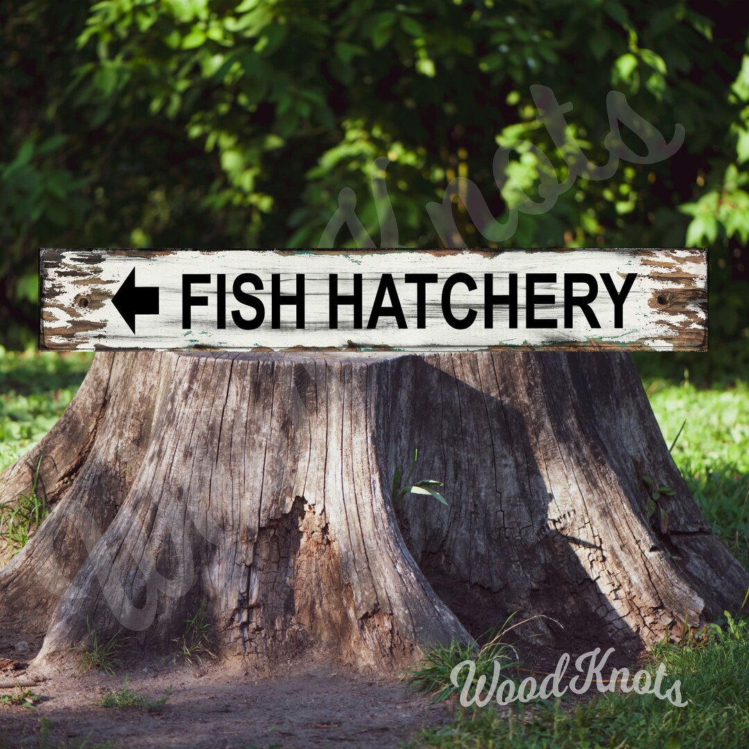 Fish Hatchery Rustic Wooden Sign, Fishing Lake Pond River Eggs ...