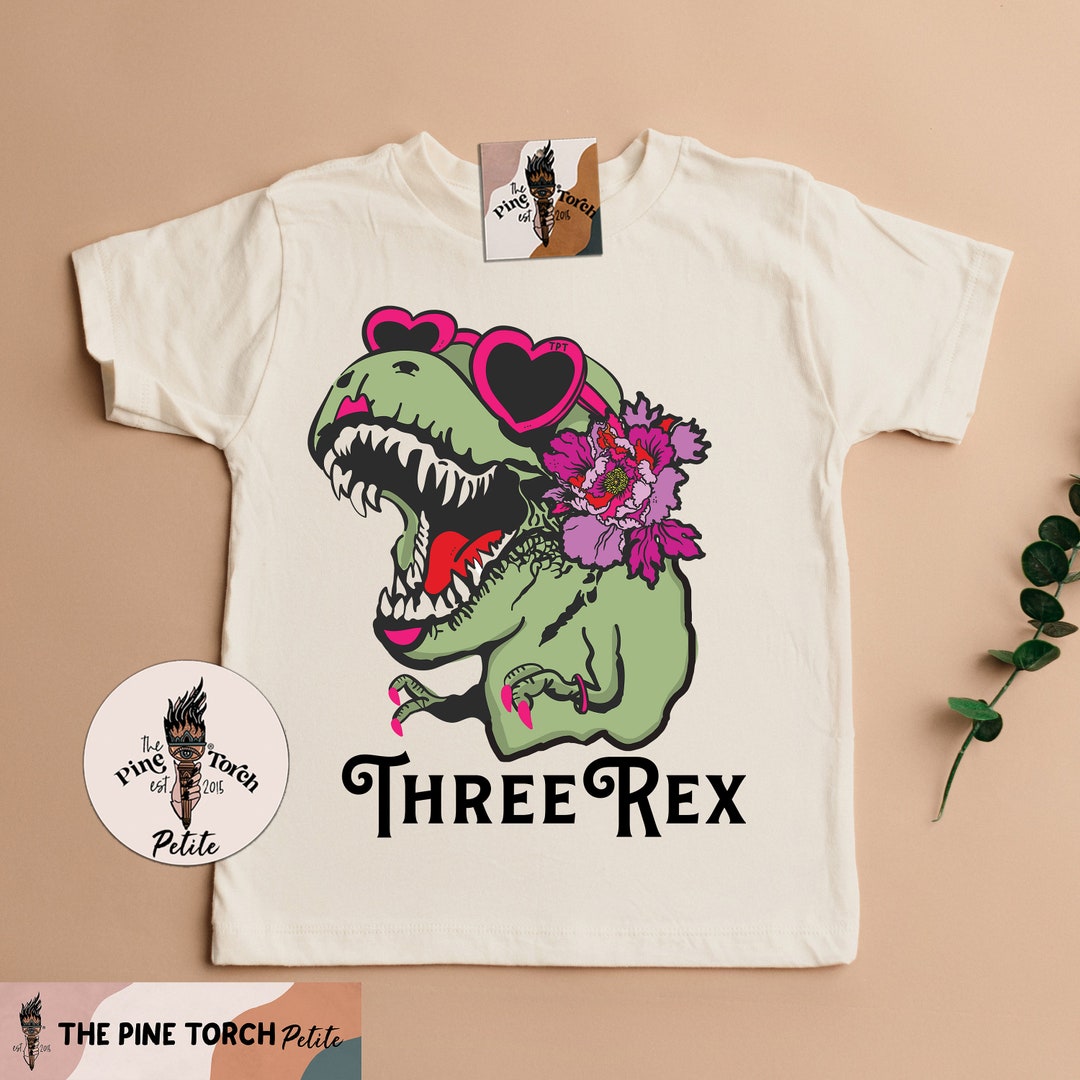 3 Girl T Rex Shirt, Girl Dinosaur Three Birthday, Girl T-rex 3 Shirt, 3 ...