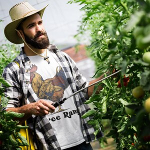 Free Range Chicken Shirt, Mens Free Range Shirt, Rooster Cock Shirt ...