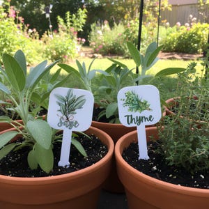 Colorful Acrylic Herb Marker — Weatherproof Plant Tag for Potted ...