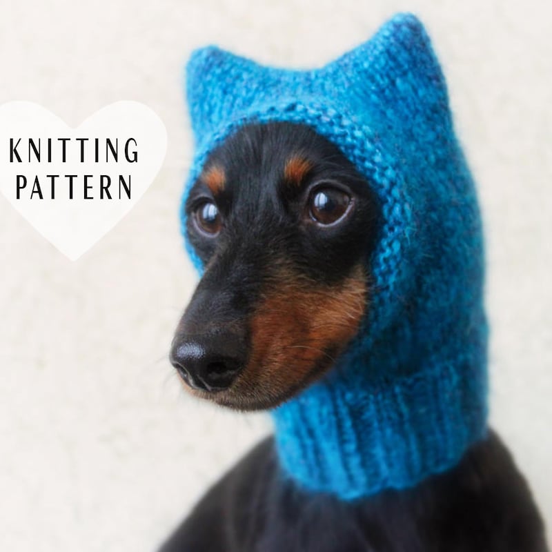 Dog Hat With Hearts - Etsy UK