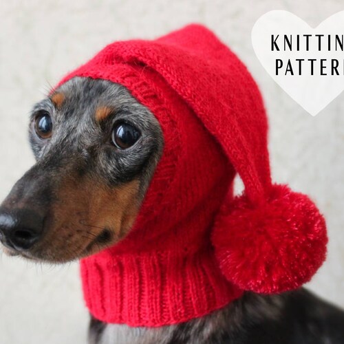 KNITTING PATTERN Dog Hat Dachshund Hat Pet Clothes Pet - Etsy