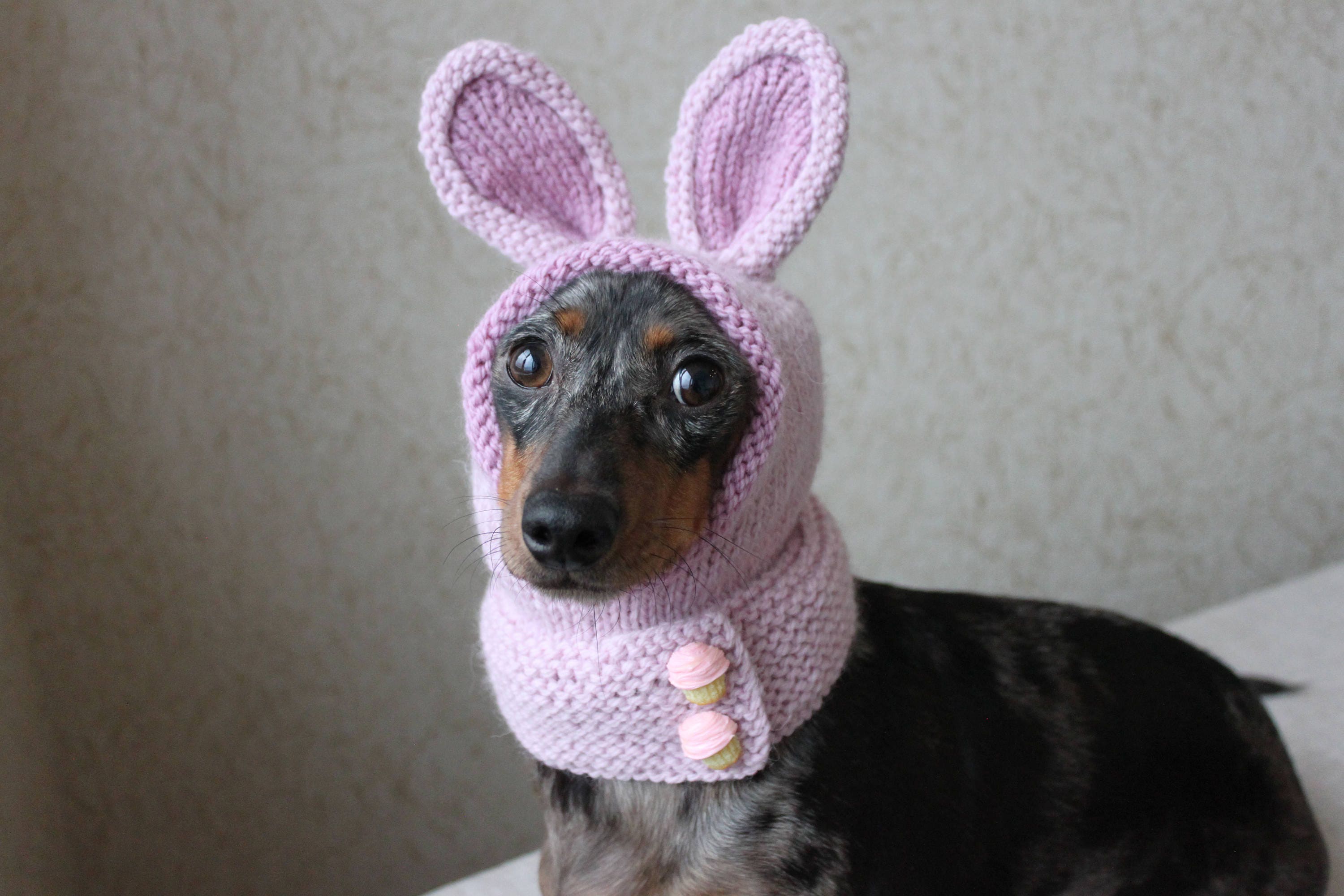 KNITTING PATTERN BUNDLE Dog Hoods Dog Hats Pet Clothes | Etsy