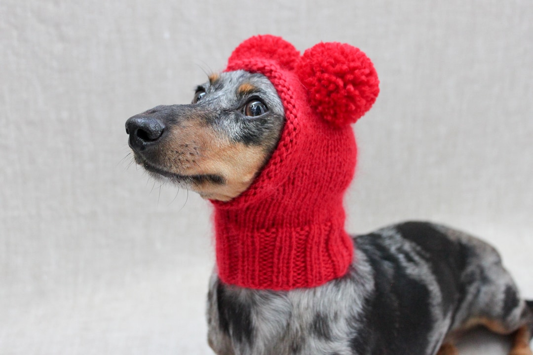 Dog Hat in Red All Natural Wool With Double Pom Poms - Etsy