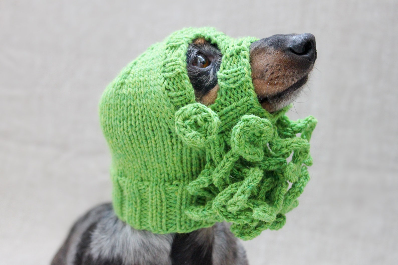 Cthulhu Dog Hat Knitting Pattern: Mini Dachshund Halloween Costume (PDF ...