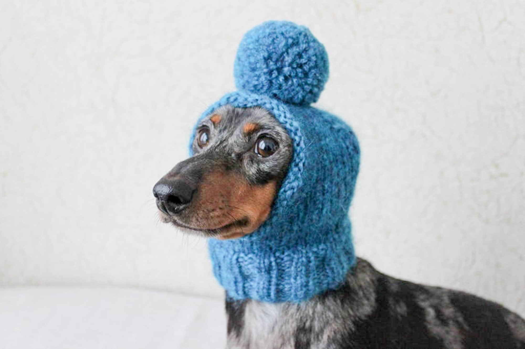 Dog Hat Small Dog Hat Dog Clothes Dog Fashion Knitted Dog | Etsy