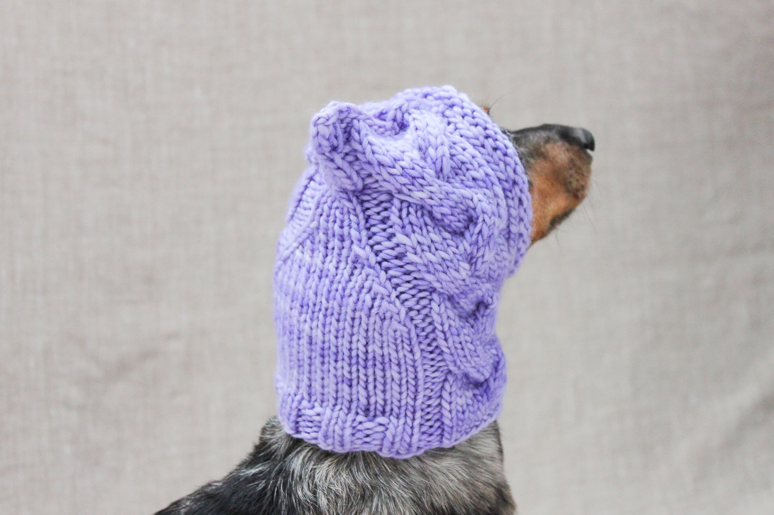 KNITTING PATTERN Cabled Dog Hat Knitted Dog Hat Dachshund - Etsy