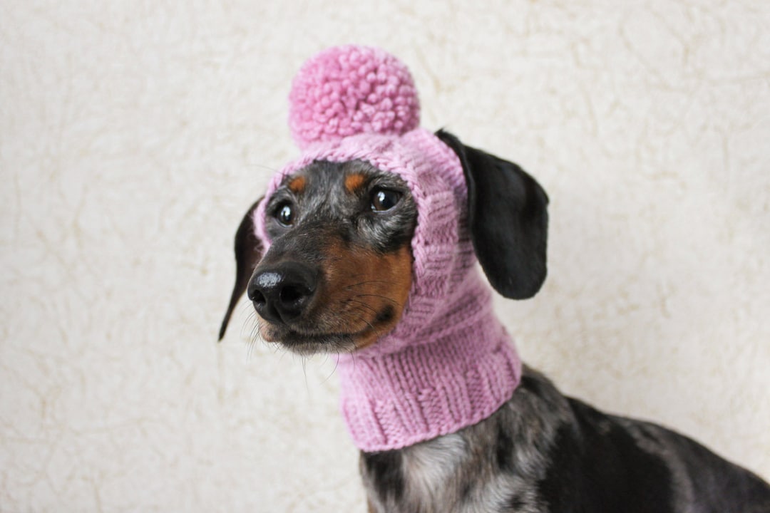 Pink Dog Hat in All Natural Wool With Open Ears - Etsy