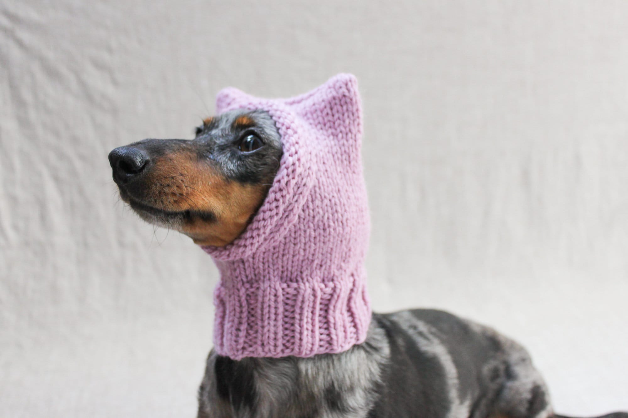 Pink Dog Hat in All Natural Wool Yarn - Etsy