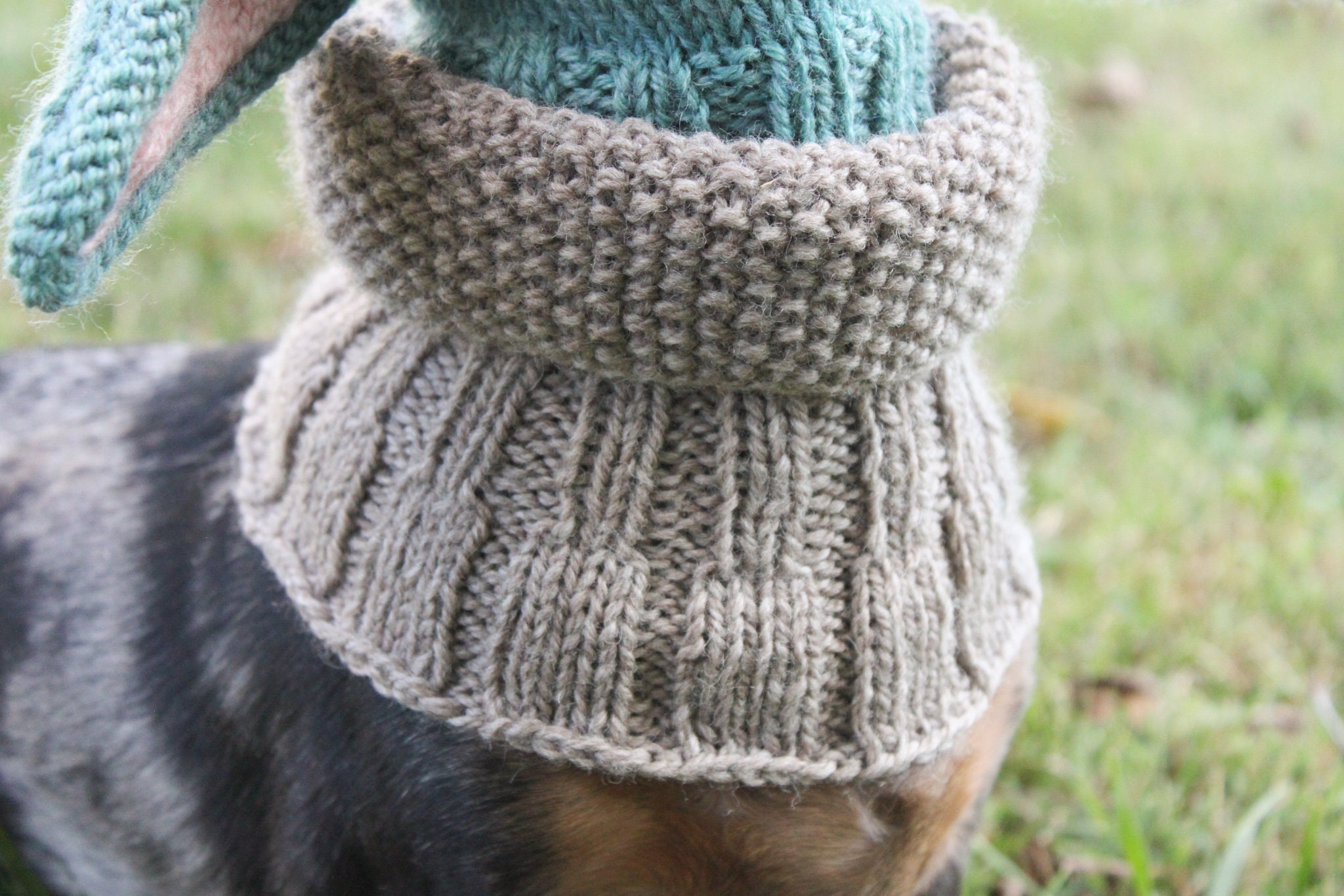 KNITTING PATTERN Small Dog Hat Costume - Etsy Canada