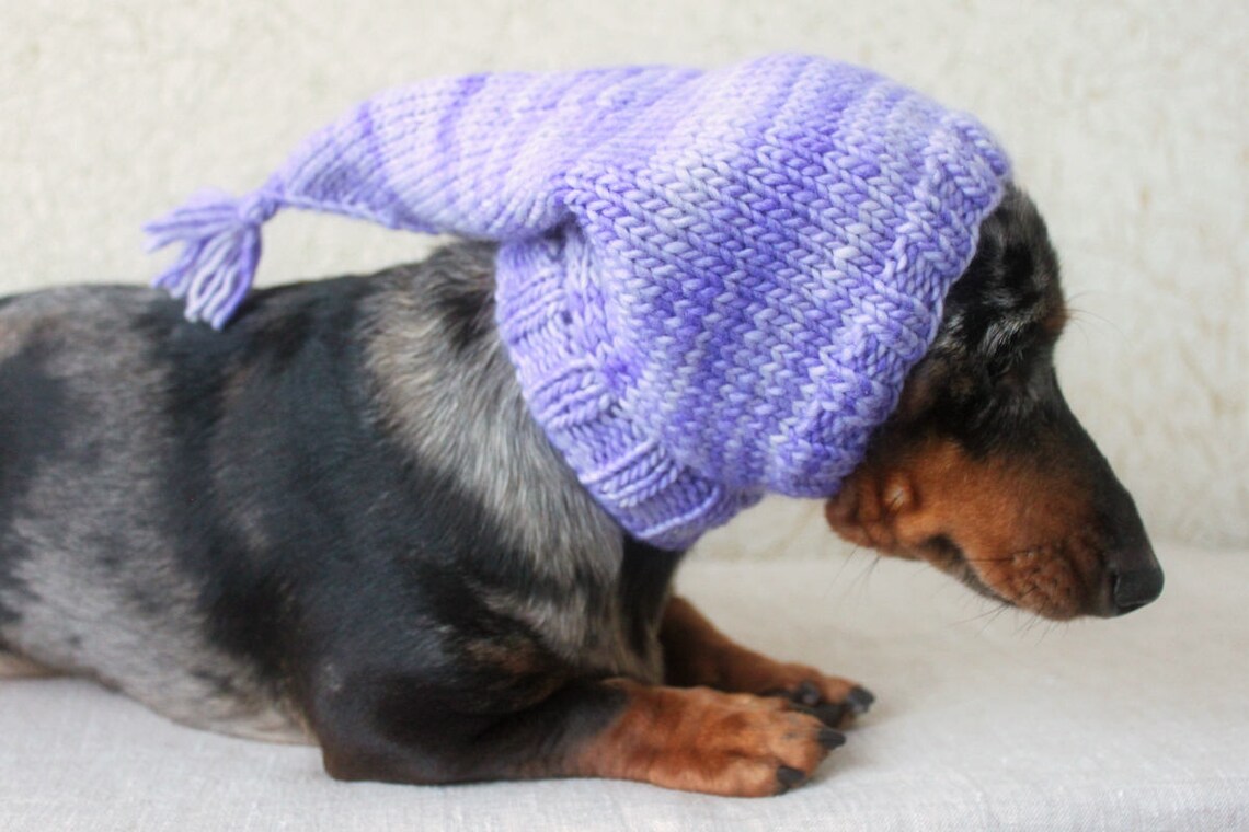 KNITTING PATTERN Dog Hat Pet Hat Dachshund Hat Mini - Etsy