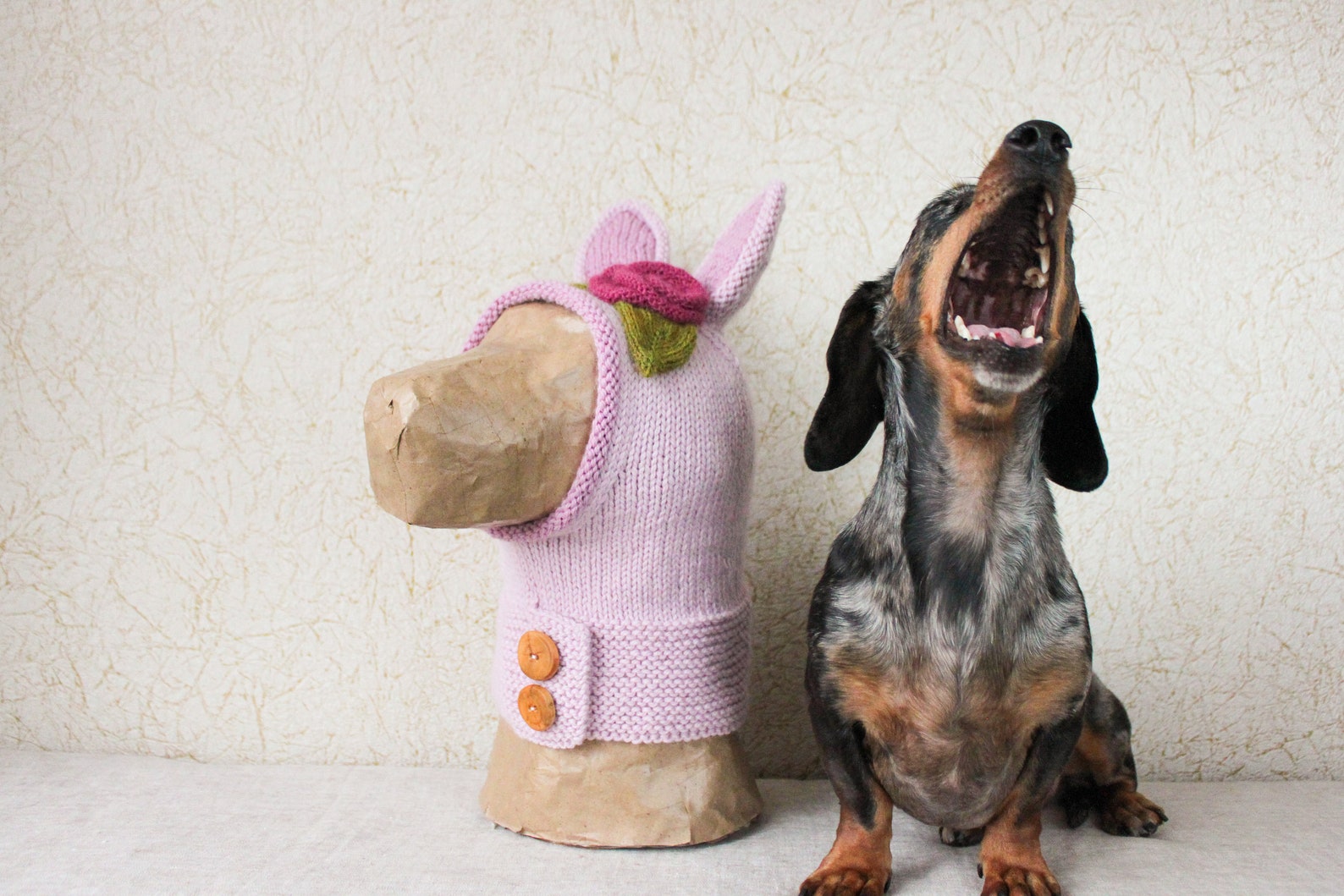 KNITTING PATTERN, Pit Bull Bunny Dog Hat, Dog Snood, Bunny Hat, Large ...