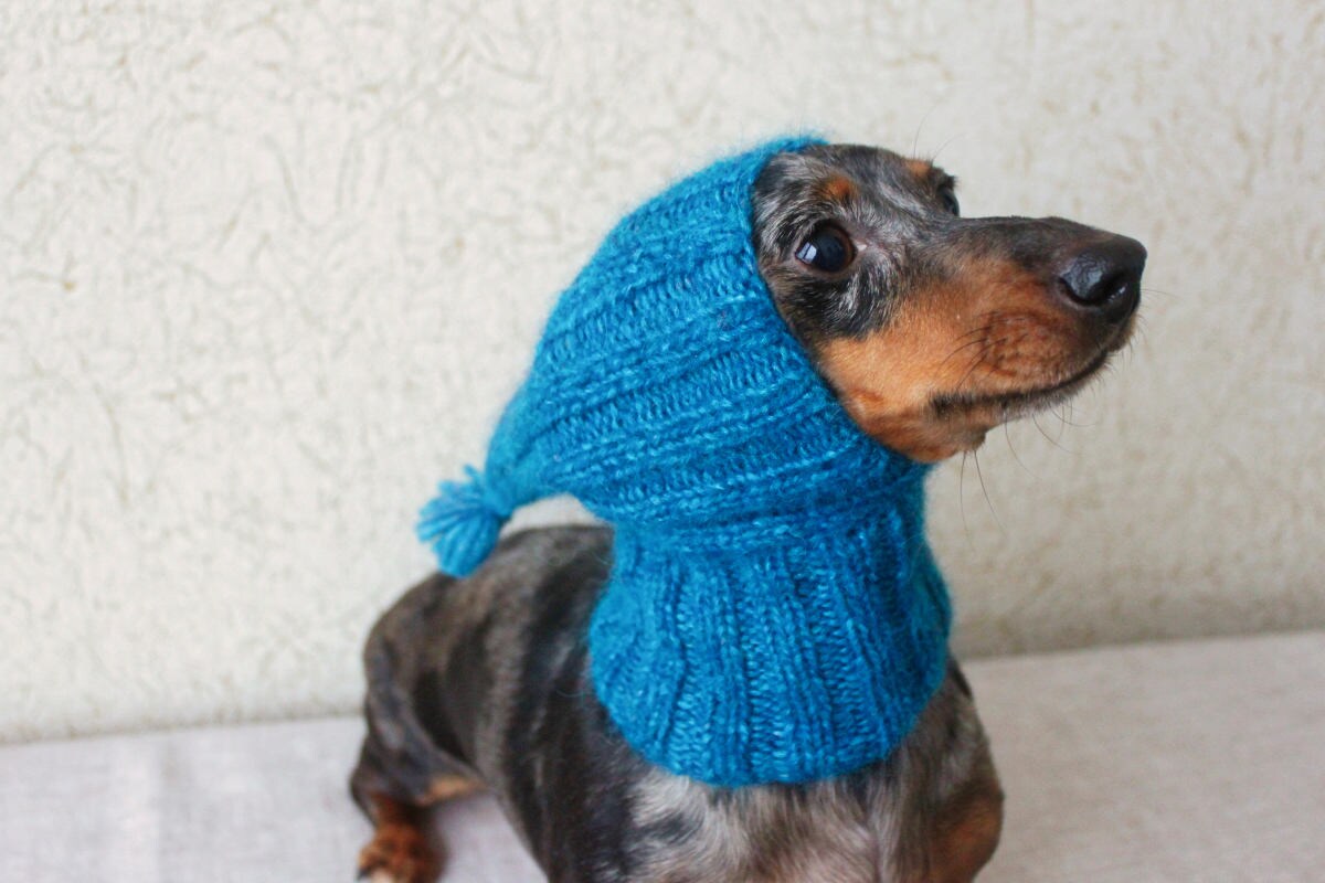 KNITTING PATTERN Small Dog Hat Dachshund Hat Mini Dachshund | Etsy