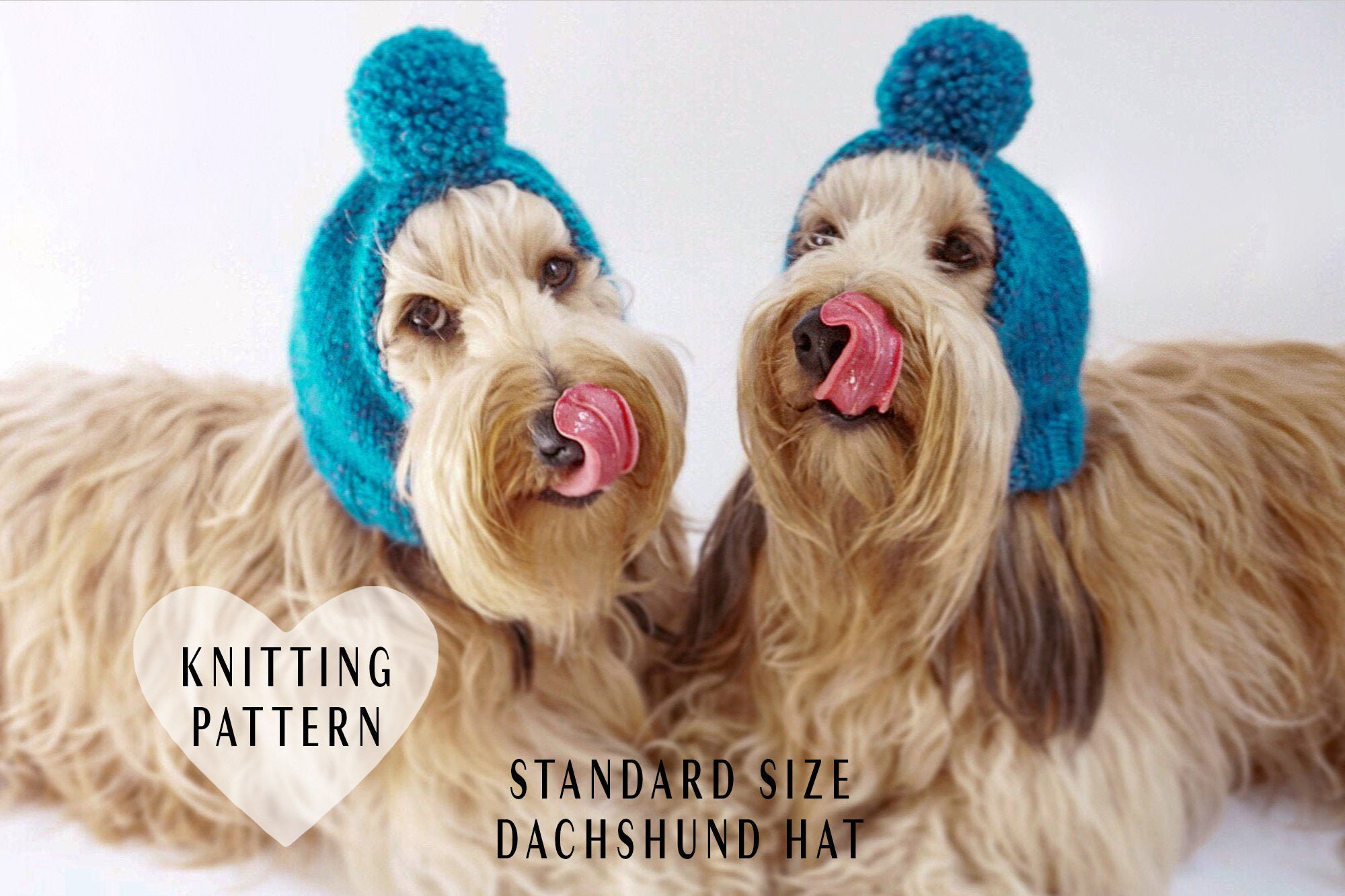 KNITTING PATTERN Dog Hat Standard Sized Dachshund Pom-pom - Etsy