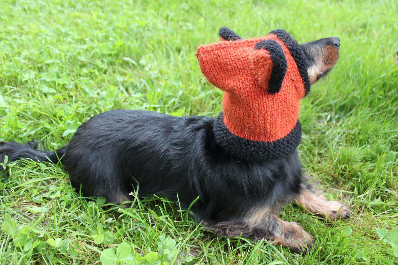 KNITTING PATTERN BUNDLE Dog Hoods Dog Hats Pet Clothes | Etsy