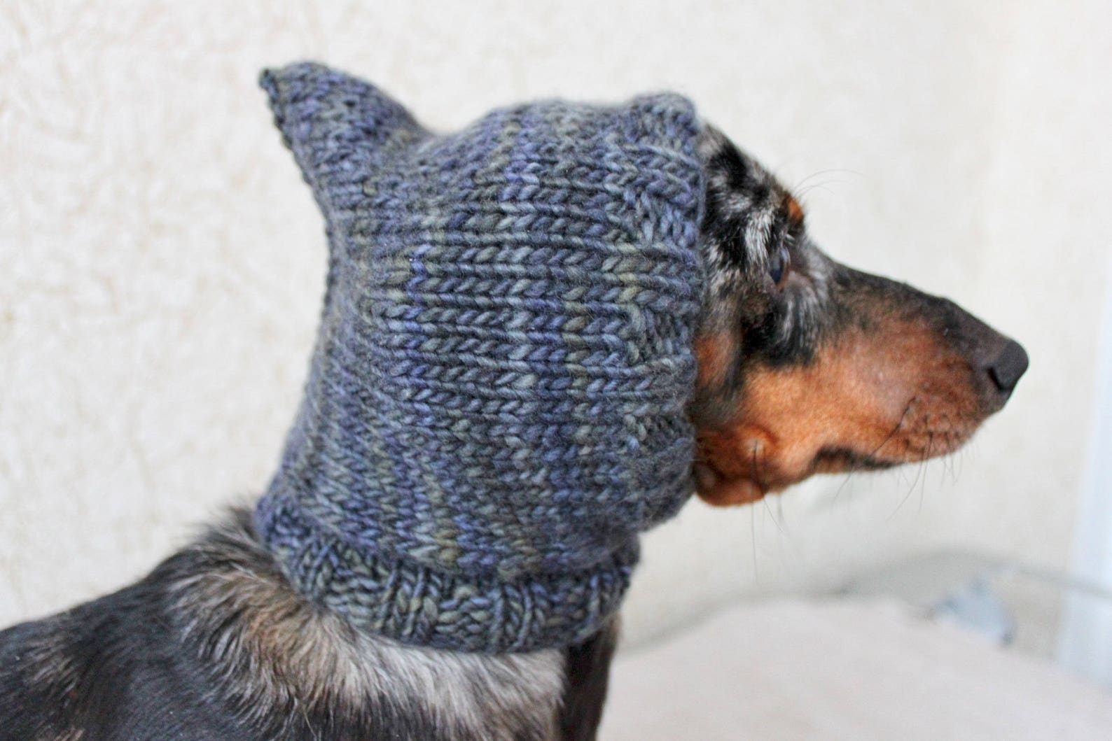 KNITTING PATTERN Dog Hat Knit Hat Pet Clothing Pets Pet - Etsy
