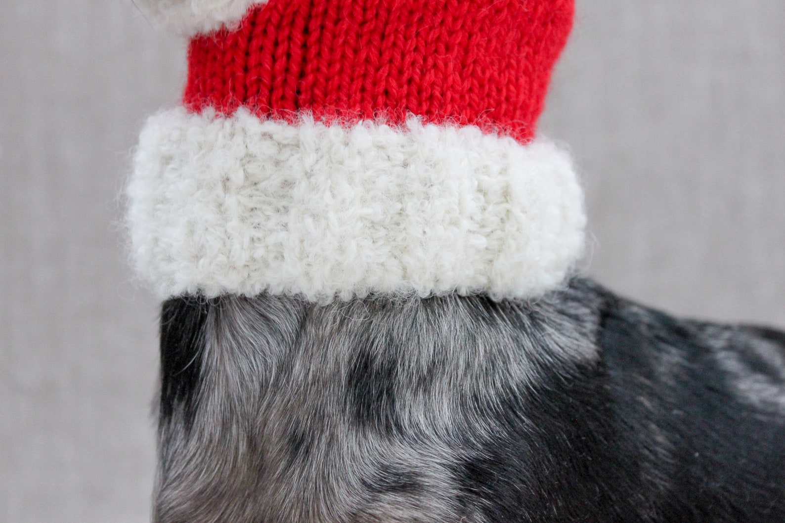 Small Dog Santa Hat Dachshund Santa Hat Dachshund Clothes - Etsy