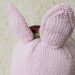 KNITTING PATTERN Pit Bull Bunny Dog Hat Dog Snood Bunny - Etsy