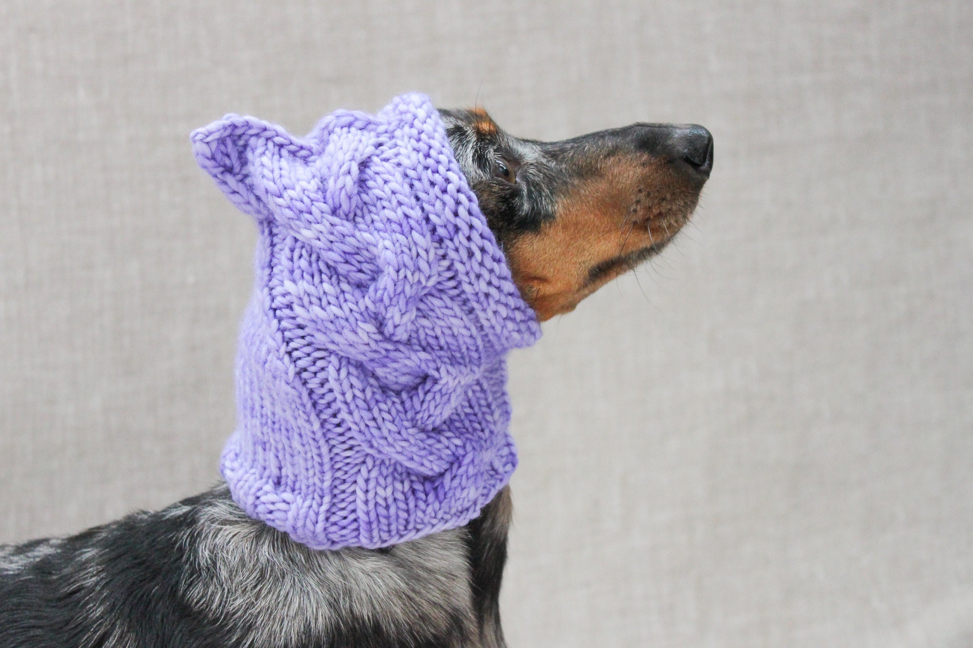 KNITTING PATTERN Cabled Dog Hat Knitted Dog Hat Dachshund | Etsy