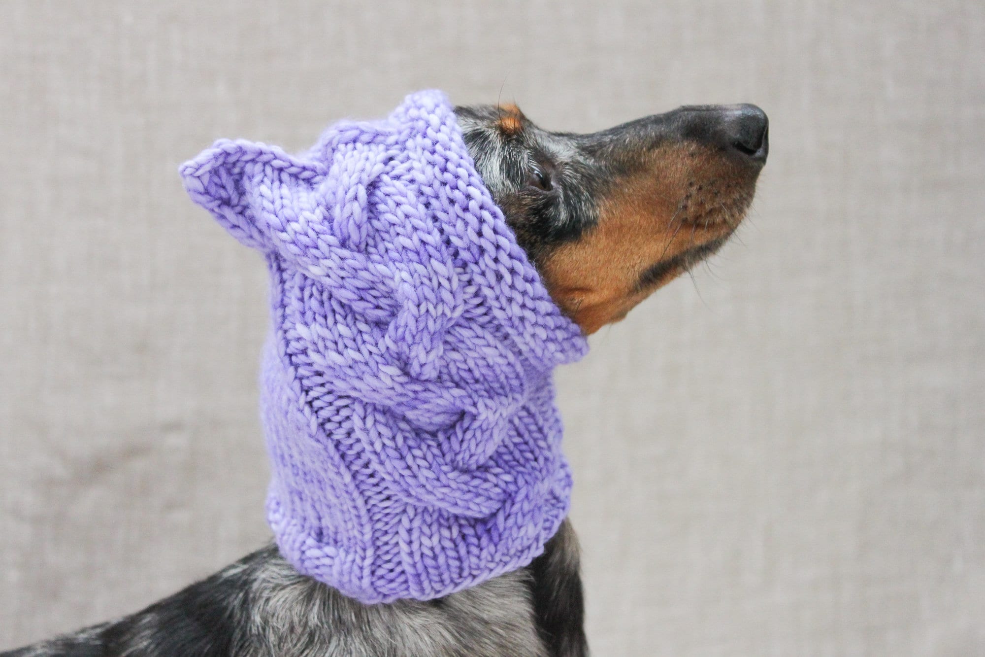 KNITTING PATTERN Cabled Dog Hat Knitted Dog Hat Dachshund | Etsy