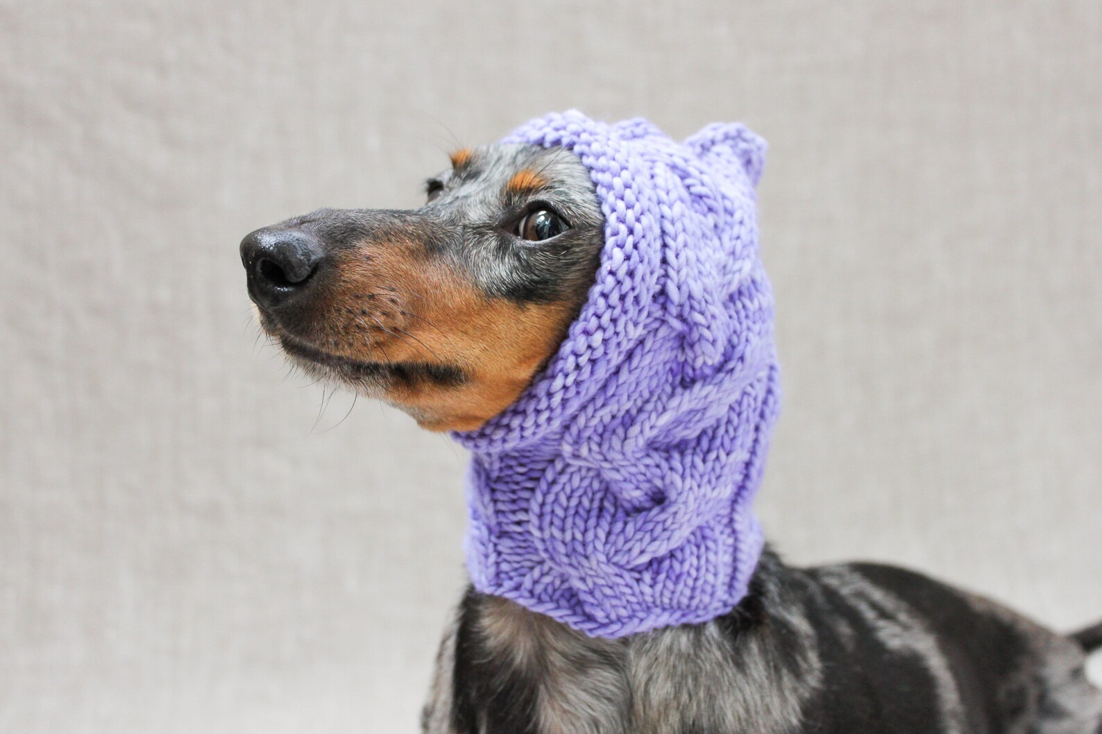KNITTING PATTERN Cabled Dog Hat Knitted Dog Hat Dachshund - Etsy