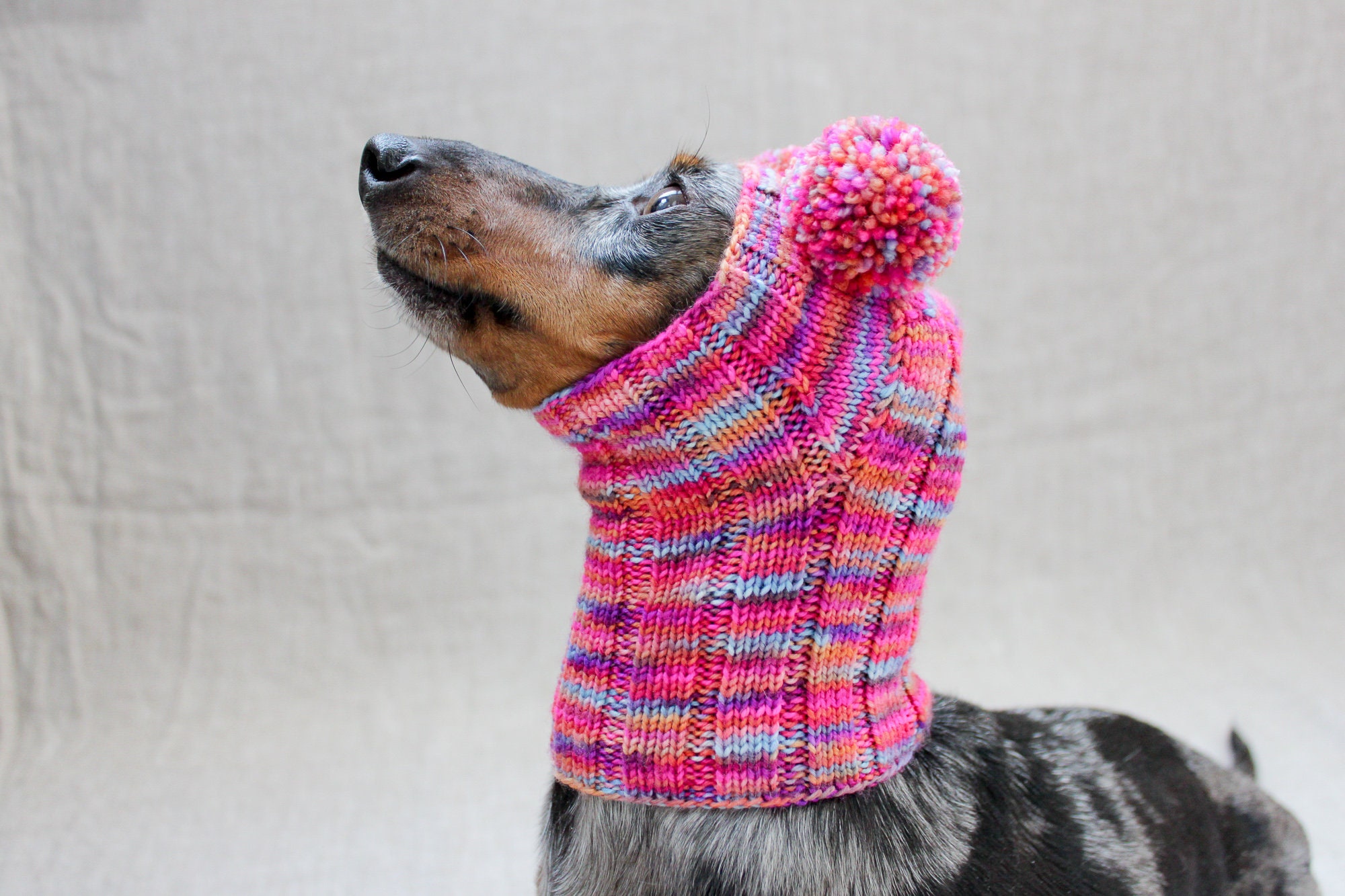 KNITTING PATTERN Small Dog Hat Dachshund Hat Pink Dog Hat | Etsy