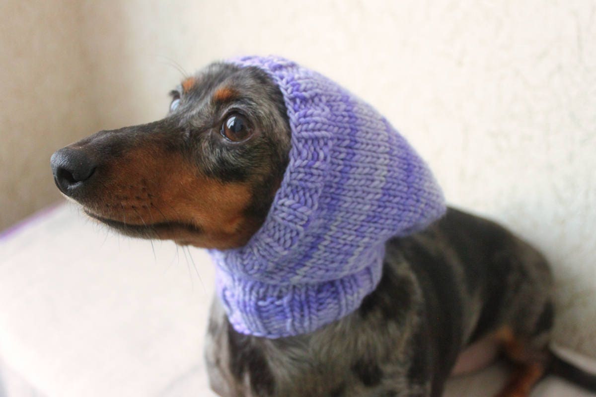 KNITTING PATTERN Dog Hat Pet Hat Dachshund Hat Mini - Etsy