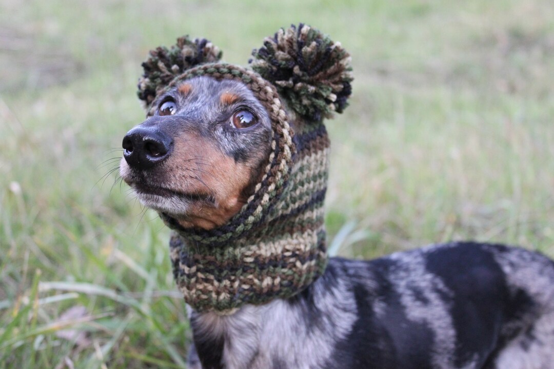 Hunting Dog Hat in Camo With Double Pom Pom - Etsy