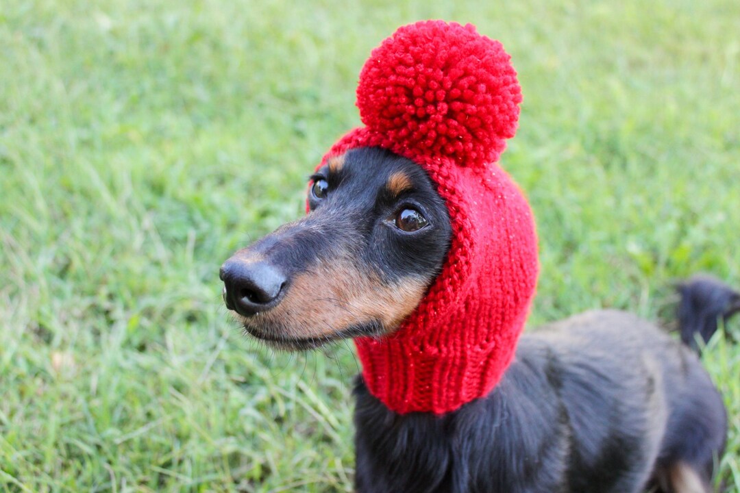 Red Dog Hat in Christmas Sparkle Yarn - Etsy