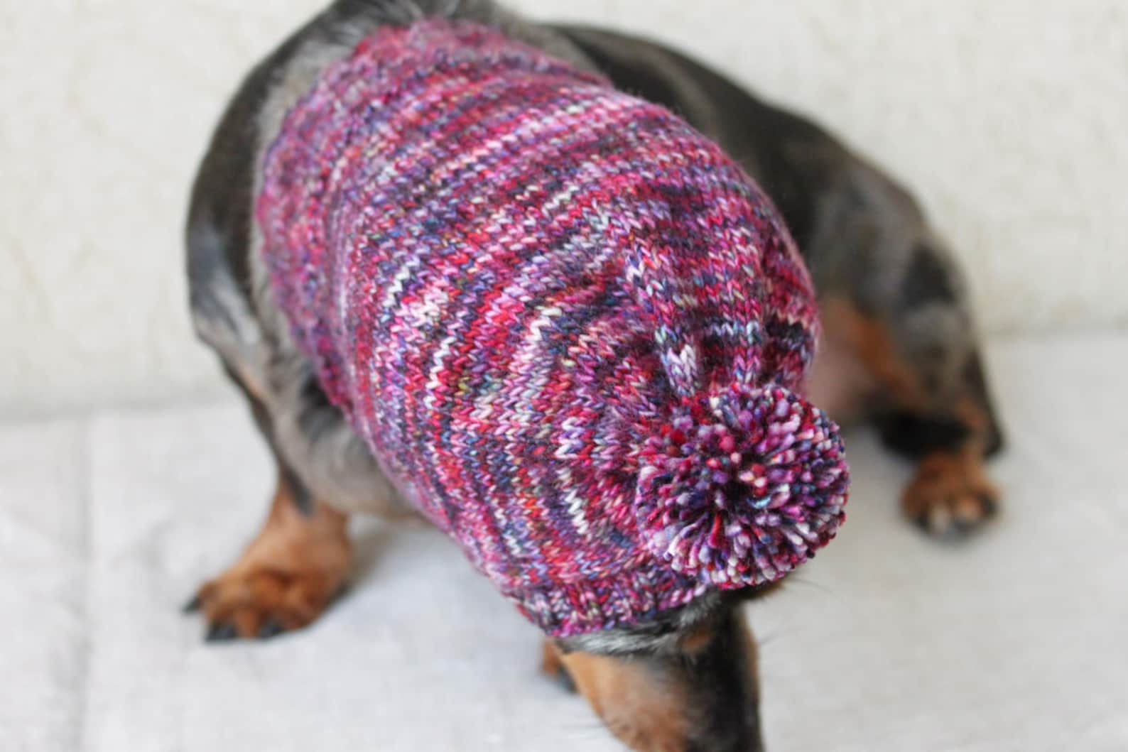 KNITTING PATTERN Small Dog Hat Dachshund Hat Pet Clothes | Etsy