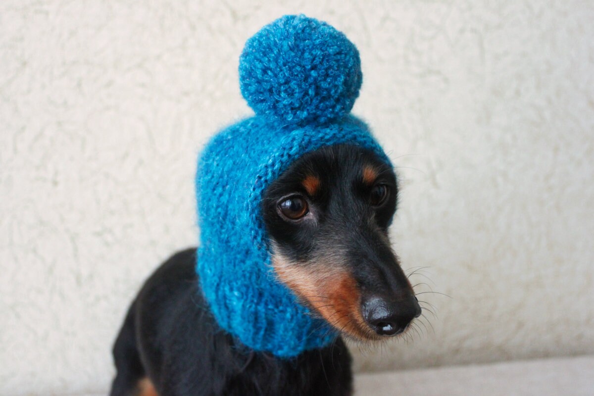 Dog Hat Small Dog Hat Dog Clothes Dog Fashion Knitted Dog | Etsy