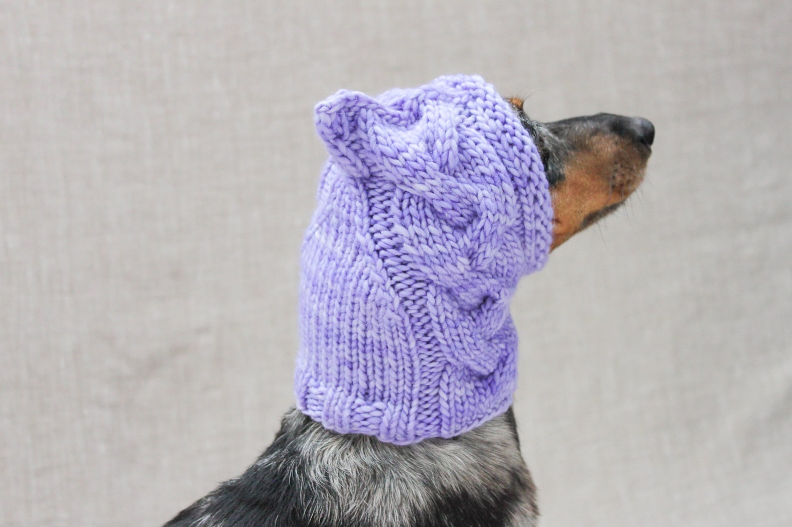 KNITTING PATTERN Cabled Dog Hat Knitted Dog Hat Dachshund - Etsy