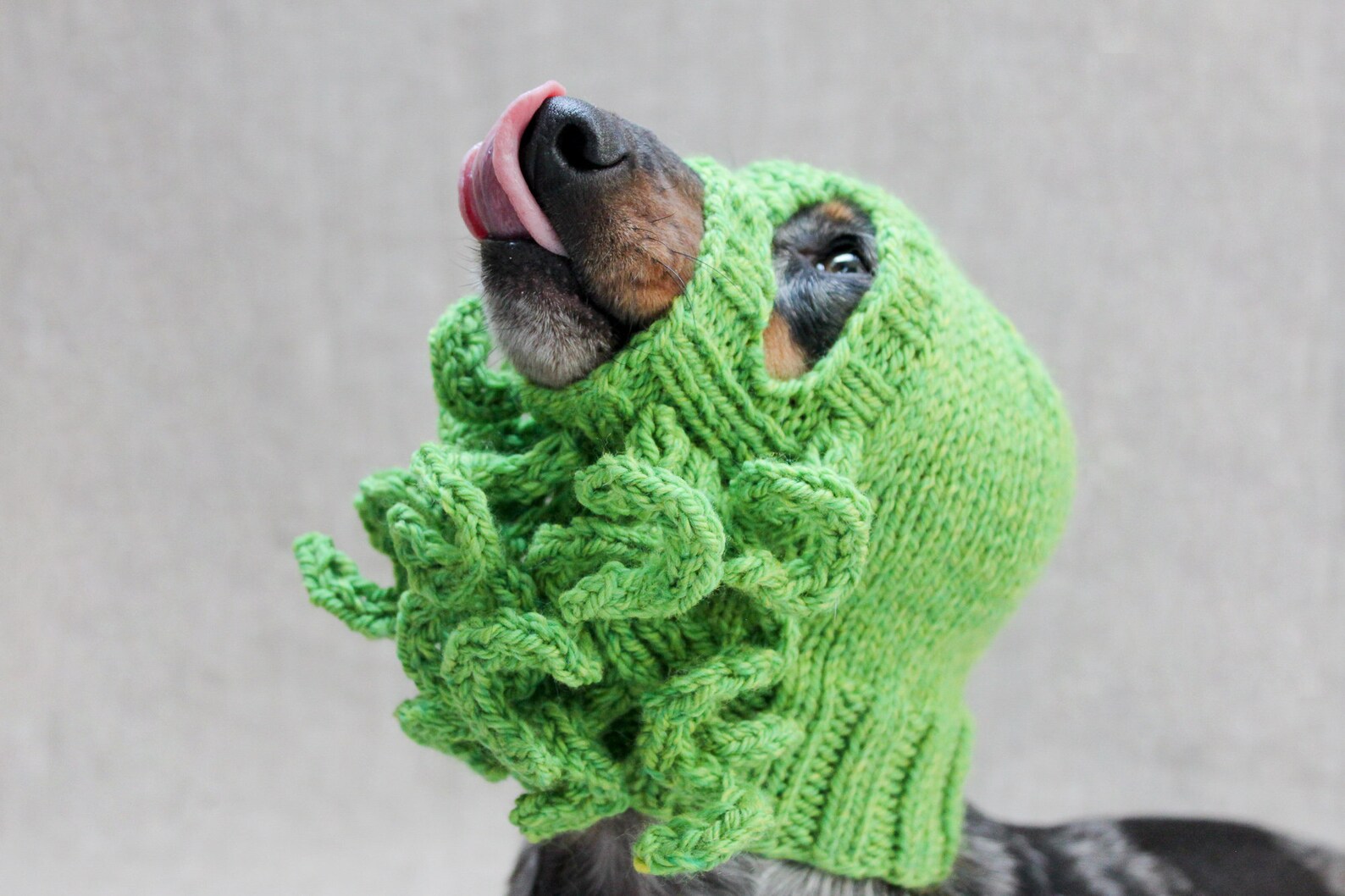 Cthulhu Dog Hat Knitting Pattern: Mini Dachshund Halloween Costume (PDF ...