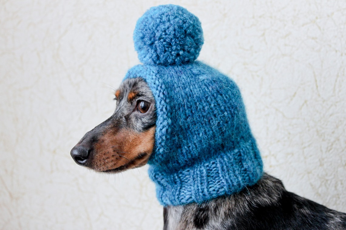 Dog Hat Small Dog Hat Dog Clothes Dog Fashion Knitted Dog | Etsy