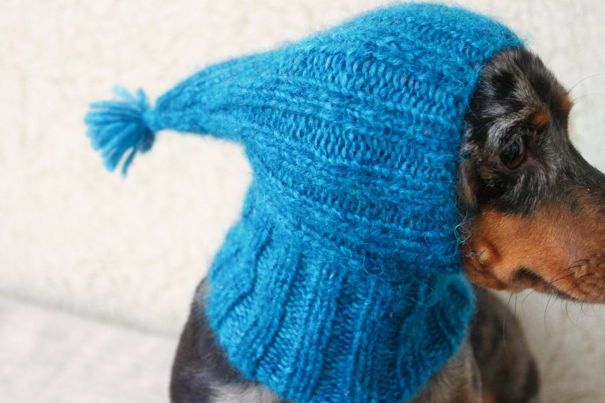 KNITTING PATTERN Small Dog Hat Dachshund Hat Mini Dachshund | Etsy