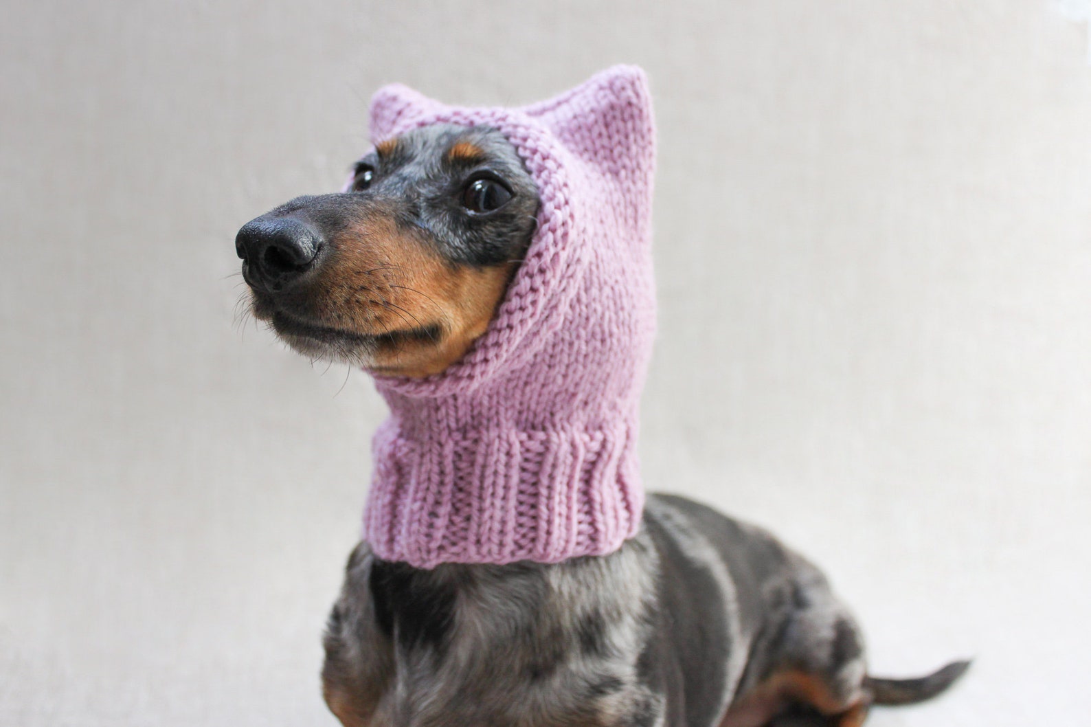 Pink Dog Hat in All Natural Wool Yarn - Etsy