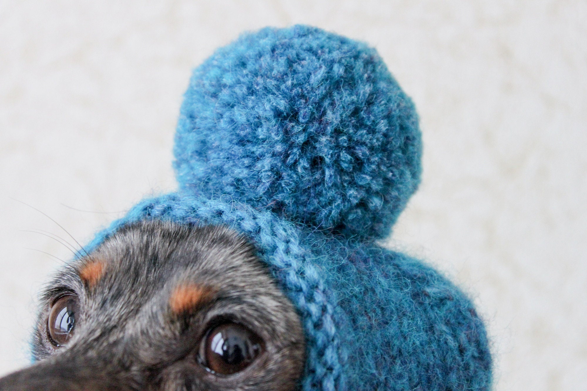 Dog Hat Small Dog Hat Dog Clothes Dog Fashion Knitted Dog | Etsy