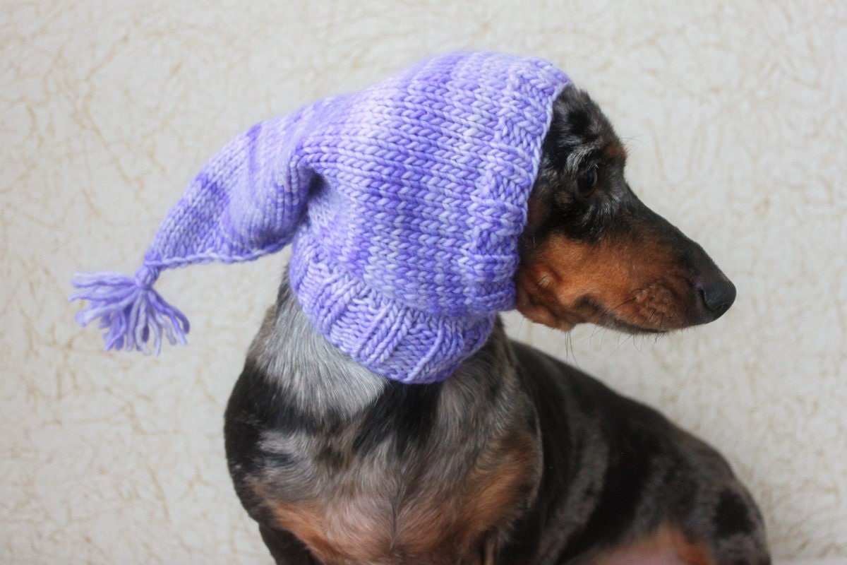 KNITTING PATTERN Dog Hat Pet Hat Dachshund Hat Mini - Etsy