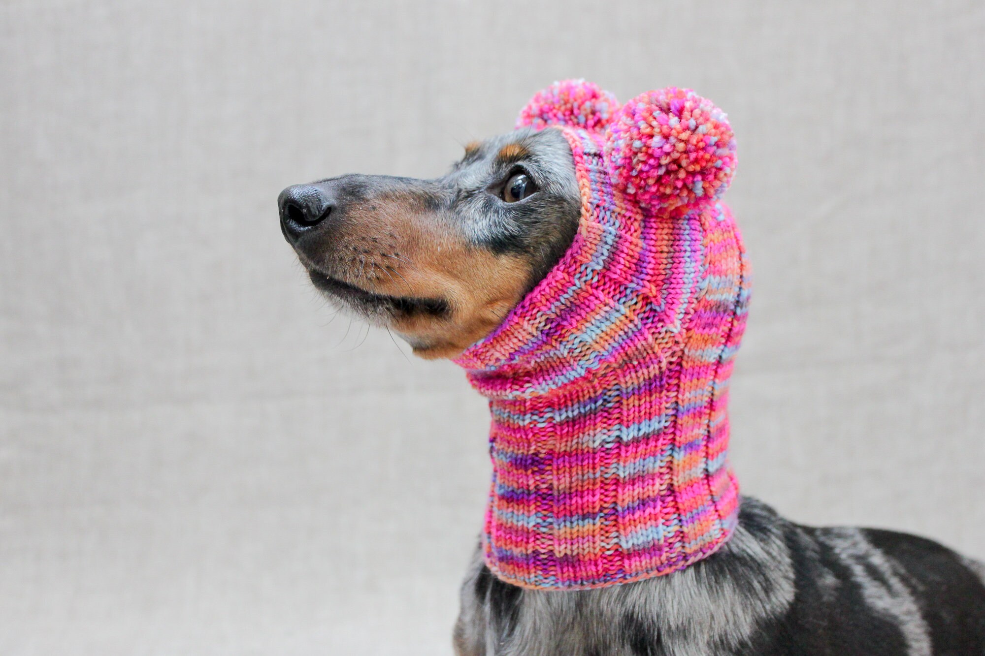 KNITTING PATTERN Small Dog Hat Dachshund Hat Pink Dog Hat | Etsy